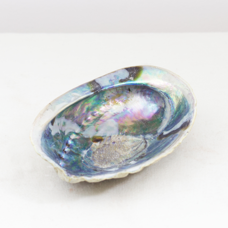 Abalone Shell | Happy Medium